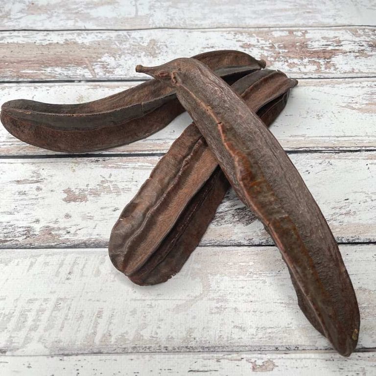 Utilisations spirituelles du Fruit 4 côtés dans la Bible